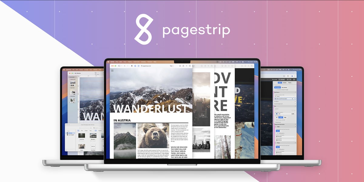 Pricing: All plans include unlimited users and stories – pagestrip